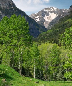 Ouray – Page 6 – Mountain Photographer : a journal by Jack Brauer